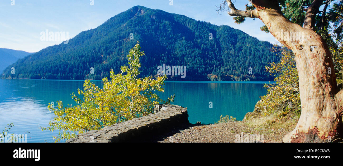 Madrona point hi-res stock photography and images - Alamy