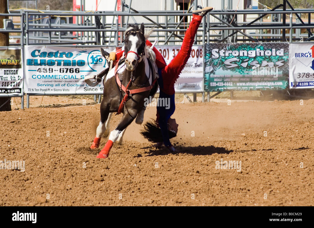 Trick horse hi-res stock photography and images - Alamy