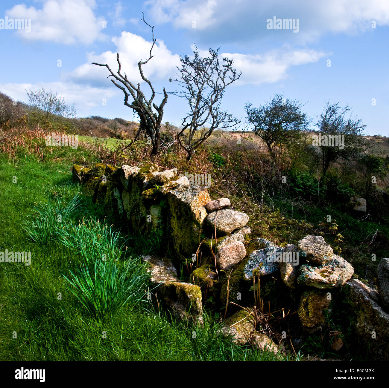 A Cornish granite wall in Cornwall Stock Photo - Alamy