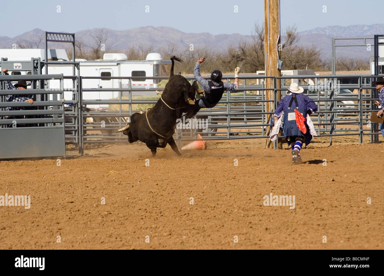 American bull riding hi-res stock photography and images - Alamy