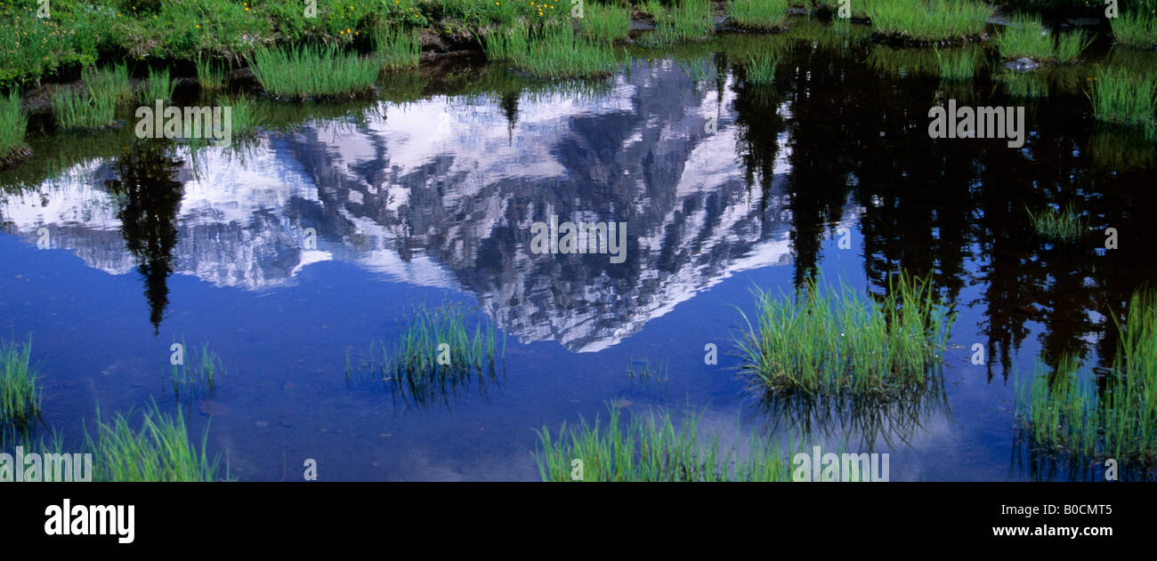 Mount Rainier reflected in small pool, Mt Rainier National Park ...