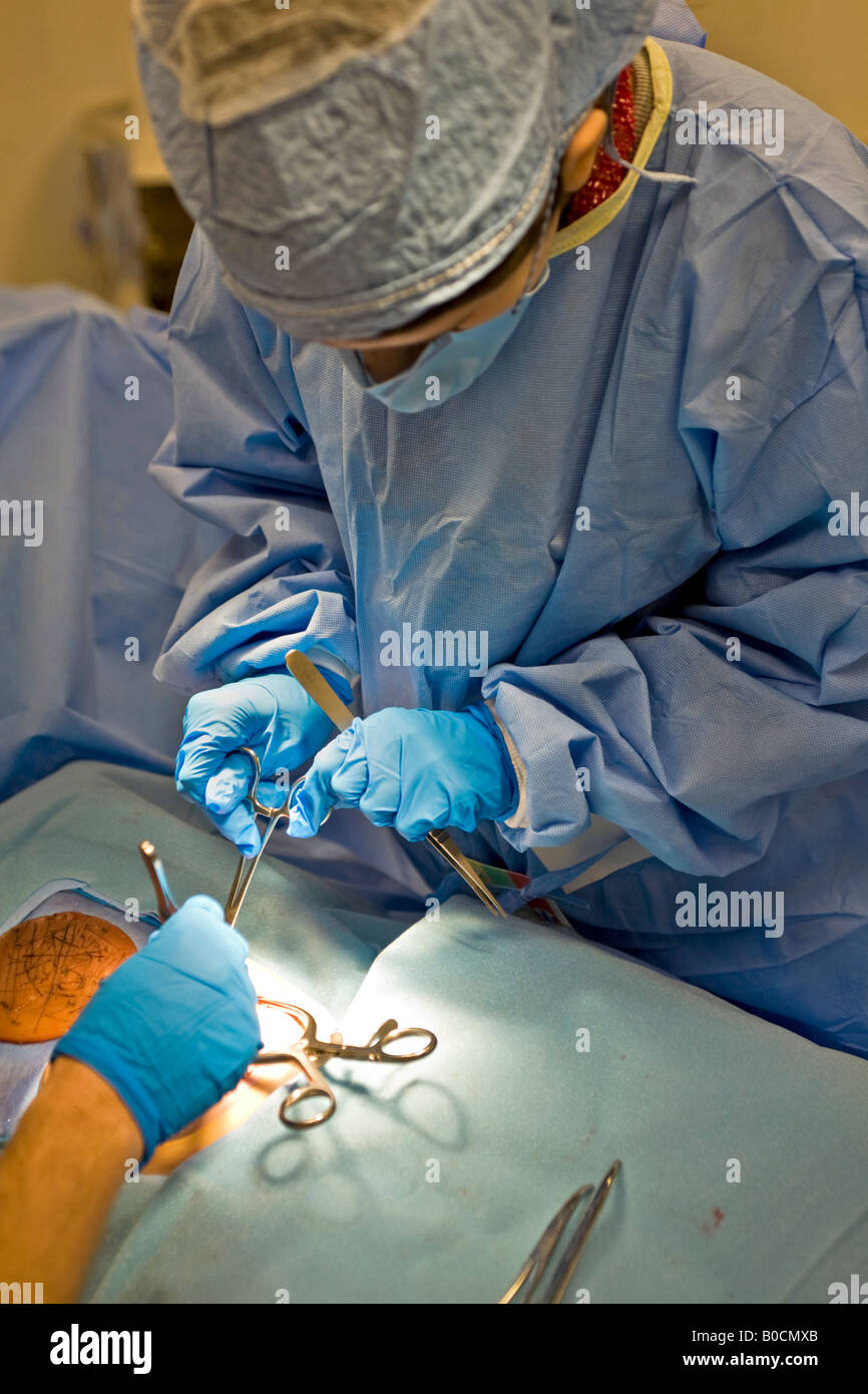 Operating room Surgery. Army doctor working with patient and clamps ...