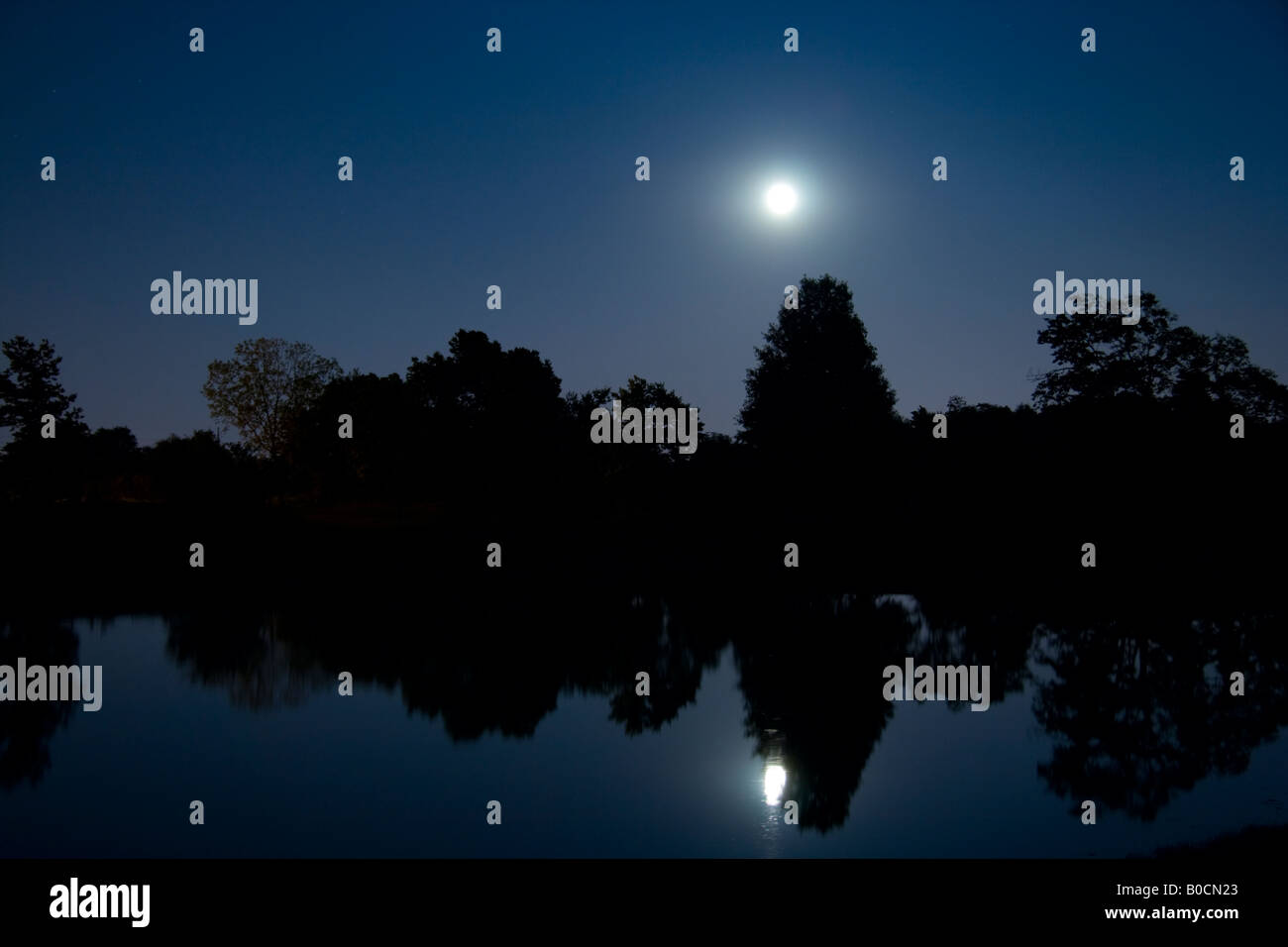 Moonlight lake shore night hi-res stock photography and images - Alamy
