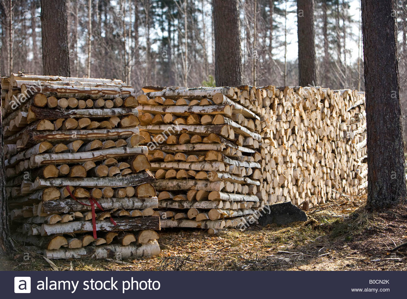 Drying Timber Stock Photos & Drying Timber Stock Images - Alamy