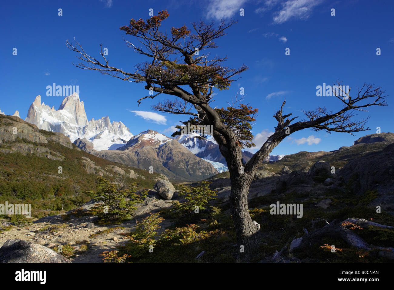 The Fitz Roy Range in Argentina Patagonia South America Stock Photo - Alamy