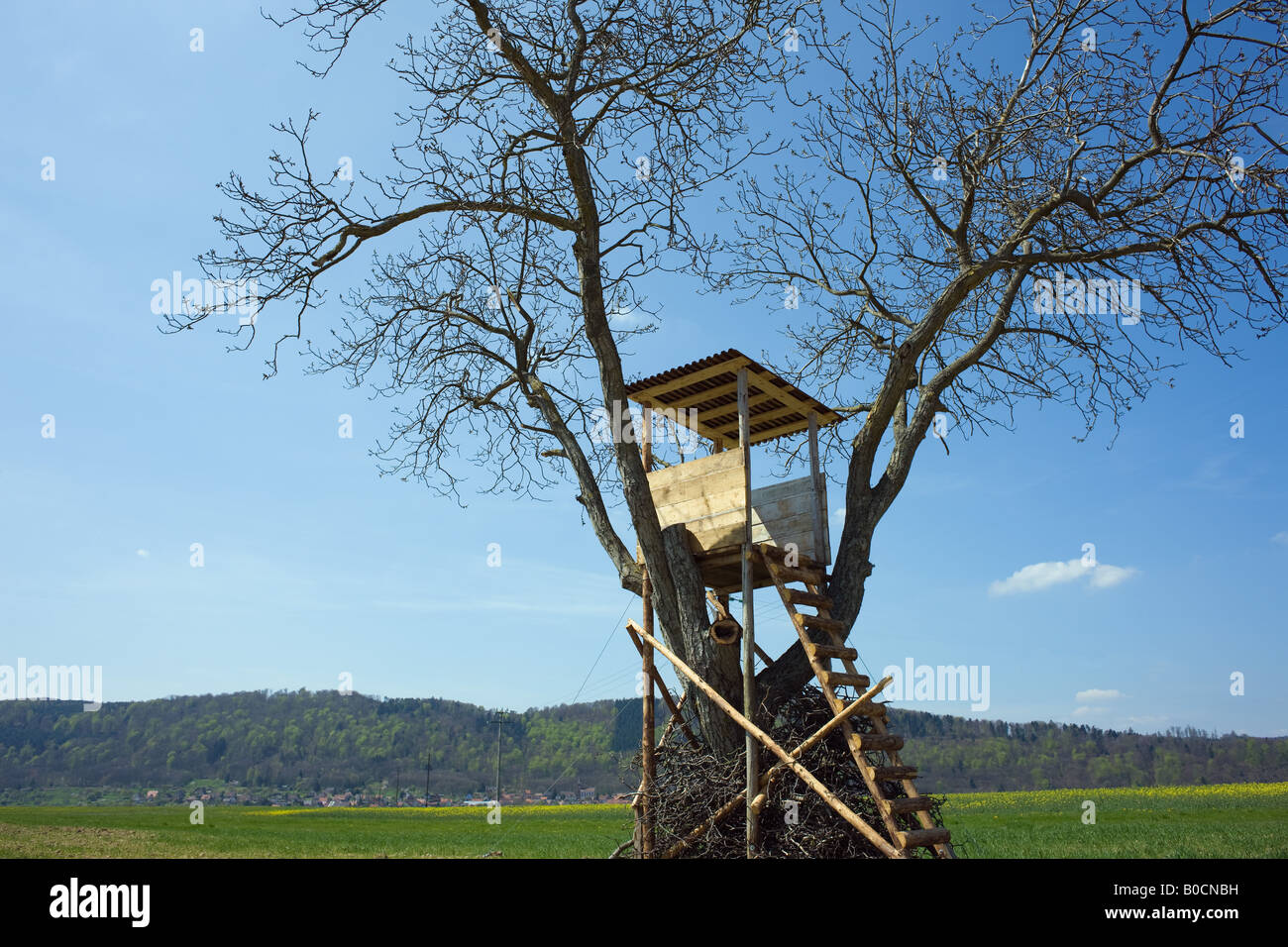 HUNT RAISED HIDE STANDING AGAINST A LEAFLESS TREE ALSACE FRANCE Stock ...