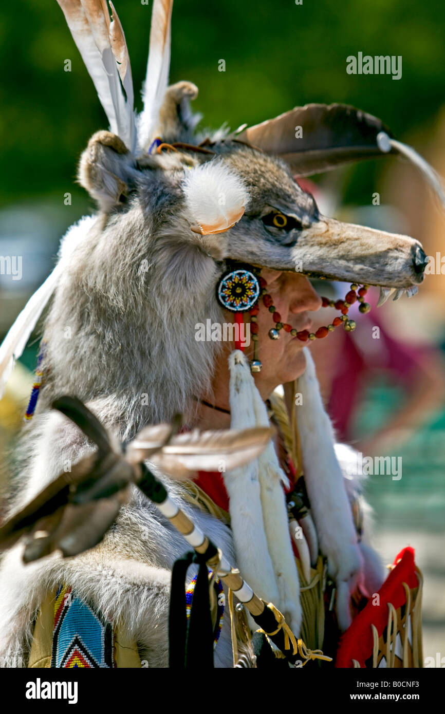 American Indian in native costume wearing a wolf head Stock Photo - Alamy