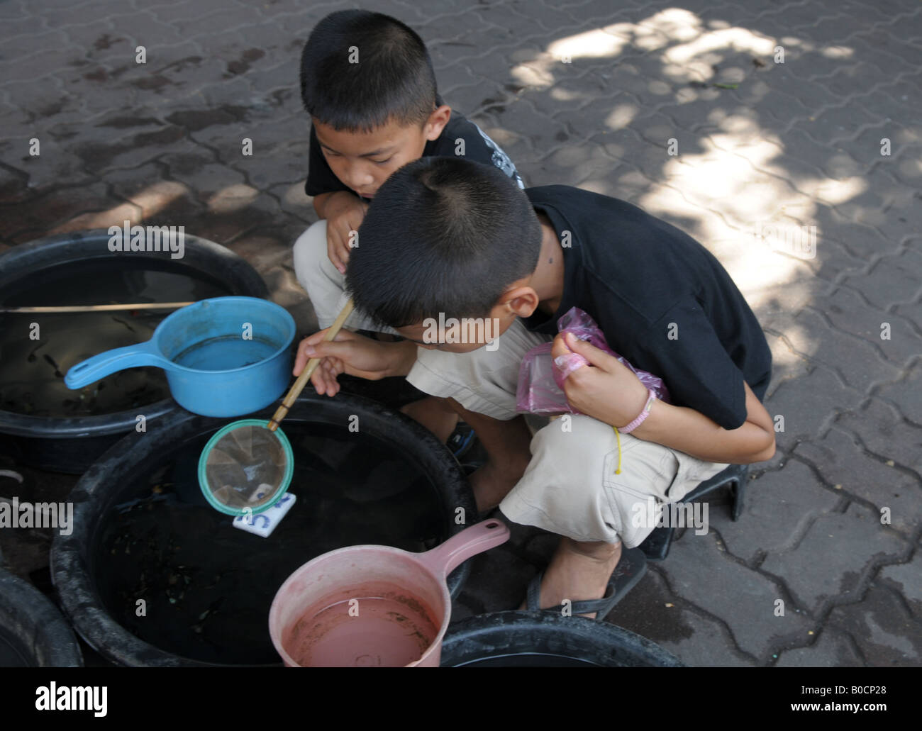 children choosing fish at jj market(chatachuk) bangkok Stock Photo - Alamy