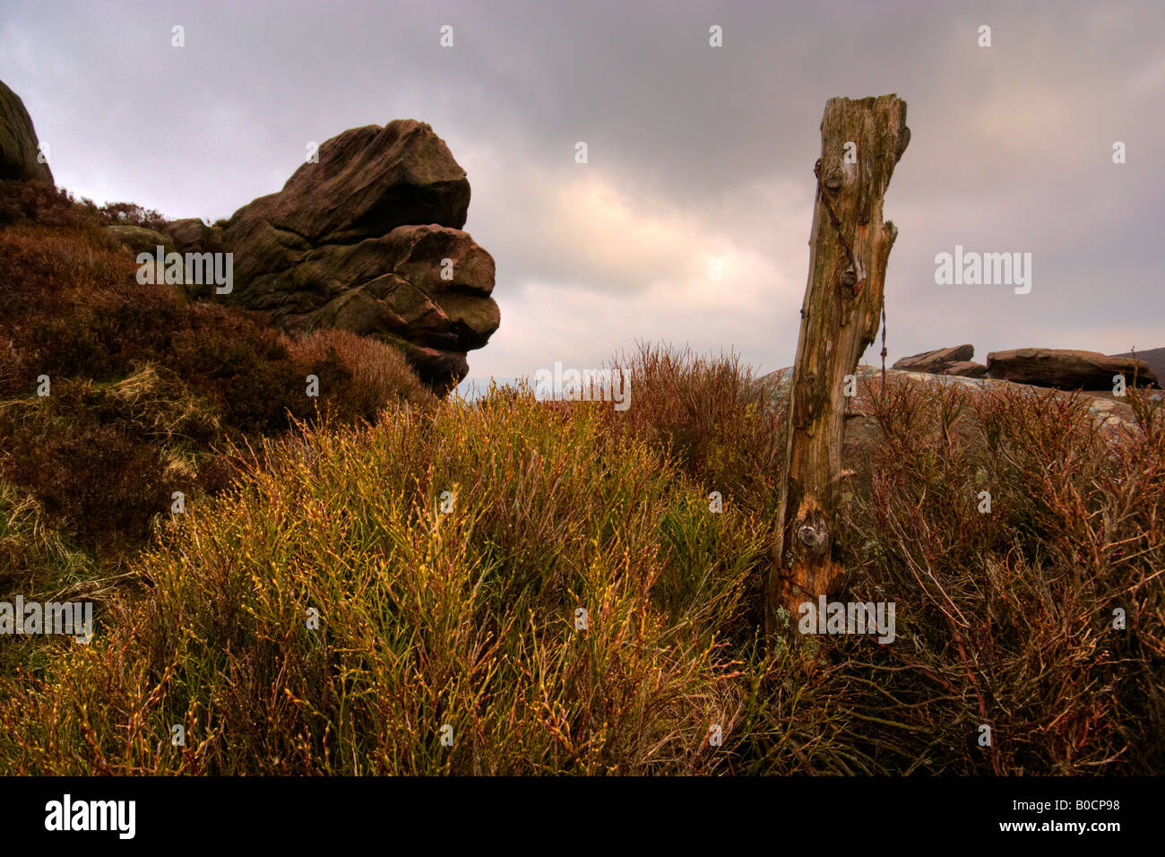 The bleak landscape of the Roaches between Leek and Buxton Stock Photo ...