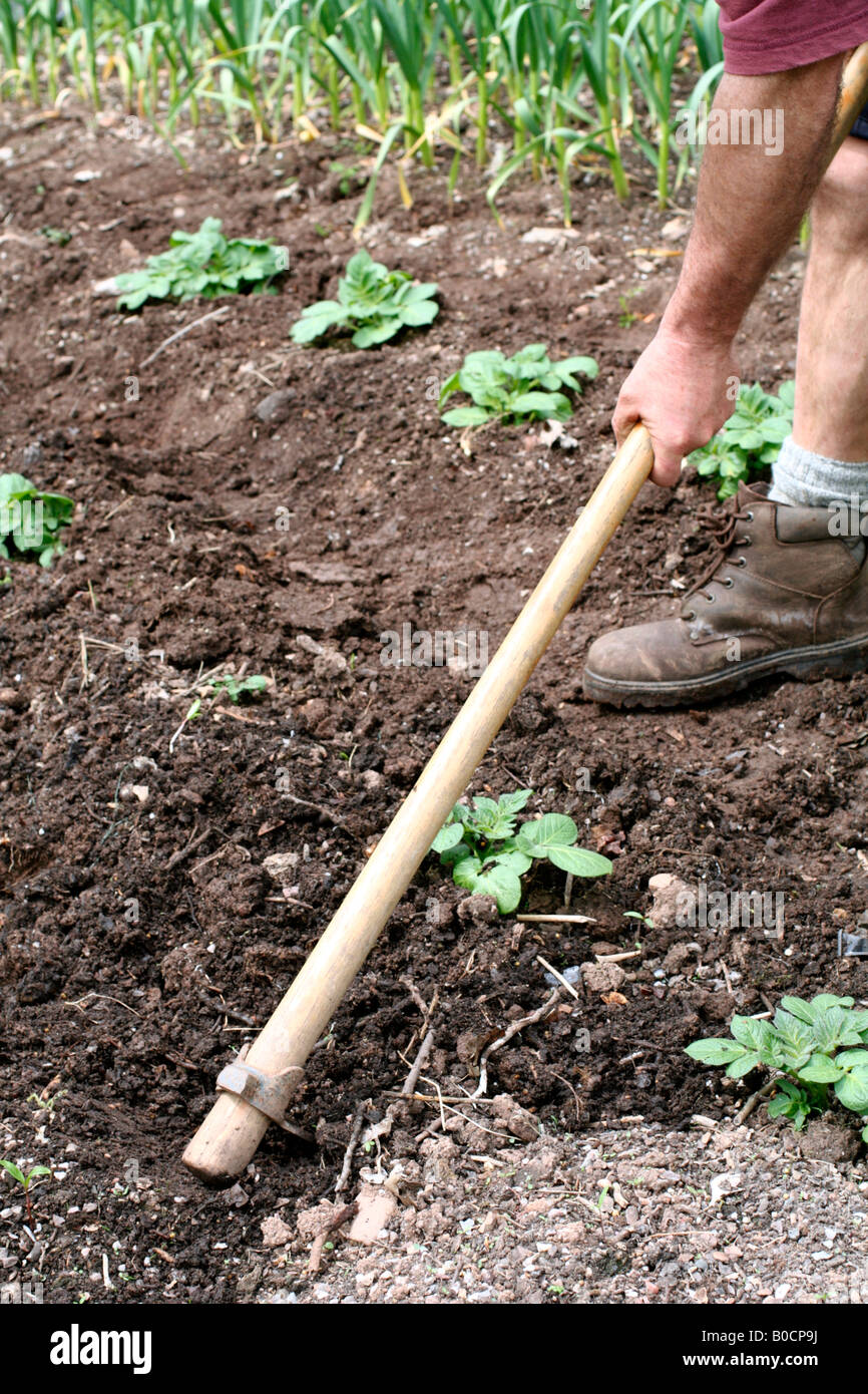 Early of may hi-res stock photography and images - Alamy