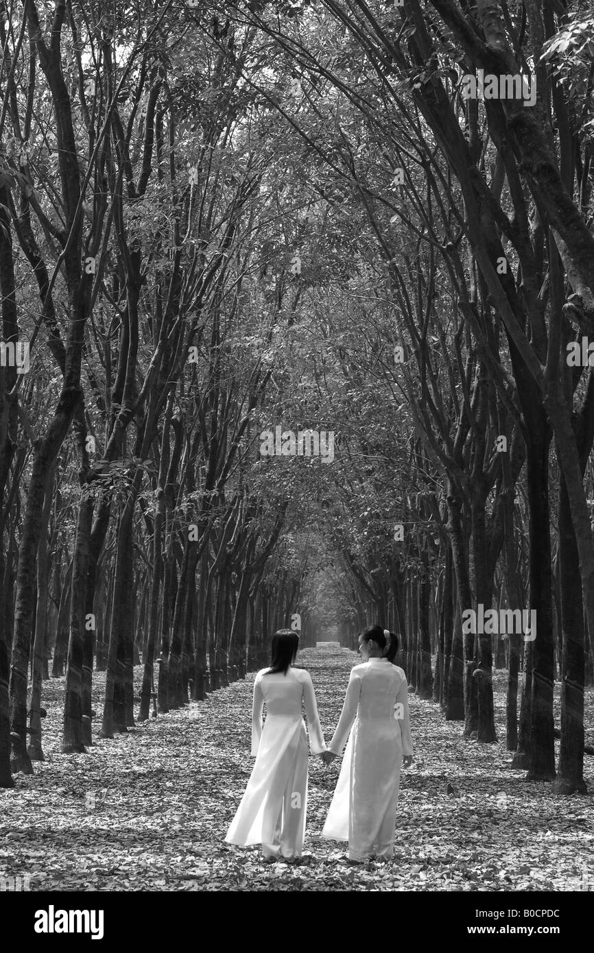 Fall in black and white Stock Photo - Alamy