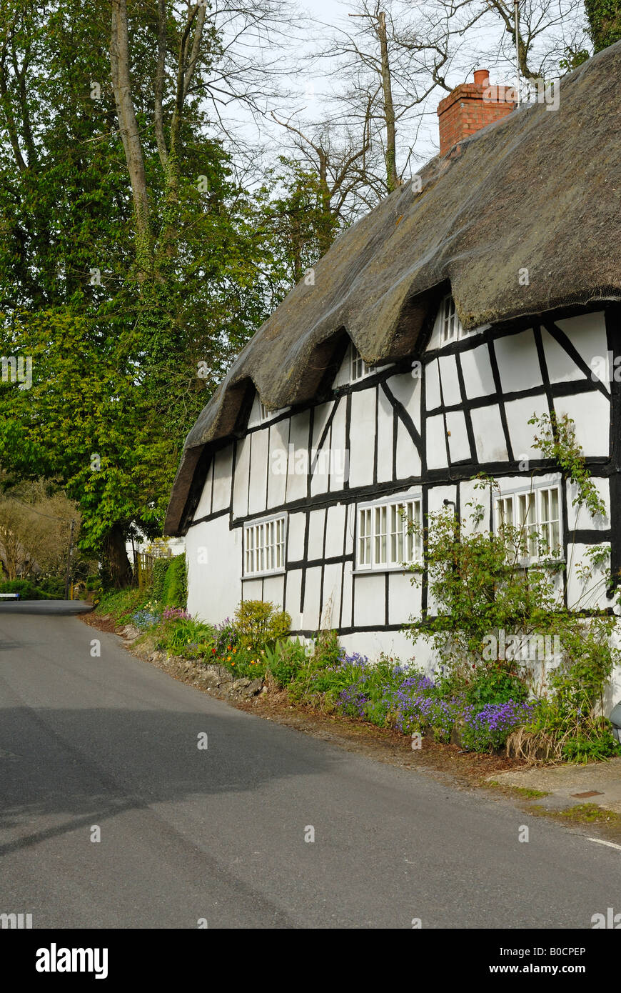 Thatched cottages at Wherwell Stock Photo - Alamy