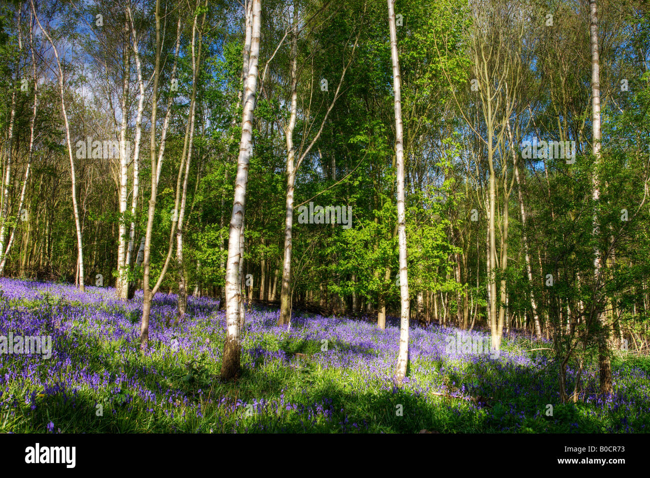 Gransden hi-res stock photography and images - Alamy