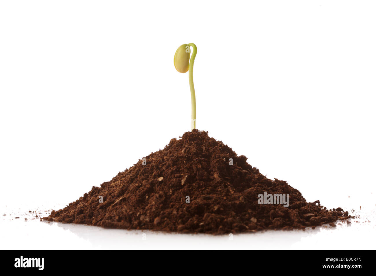 Small pile of soil hi-res stock photography and images - Alamy