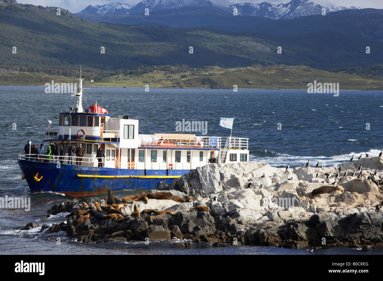 Tourists on boat watching Sea Lions and Penguins on island in The ...