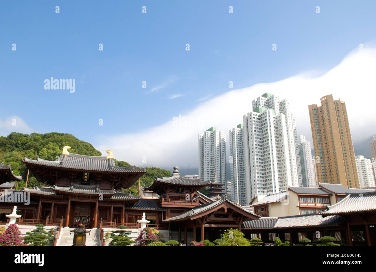 Chi Lin Nunnery, Kowloon, China Stock Photo - Alamy