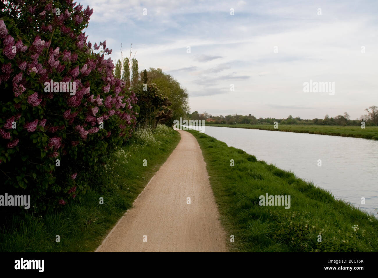 Cambridge towpath hi-res stock photography and images - Alamy