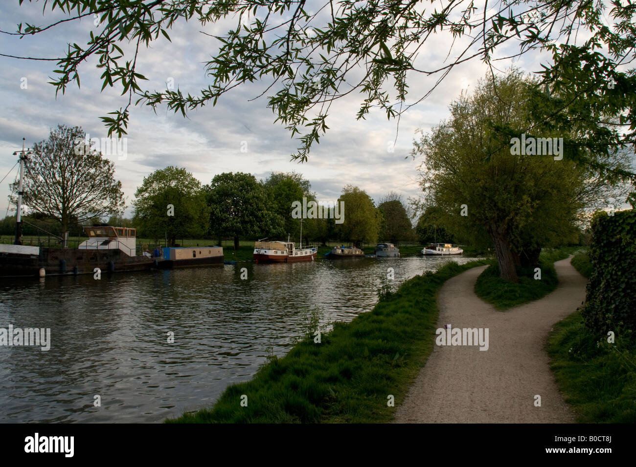 Towpath beside the River Cam near Cambridge Stock Photo - Alamy
