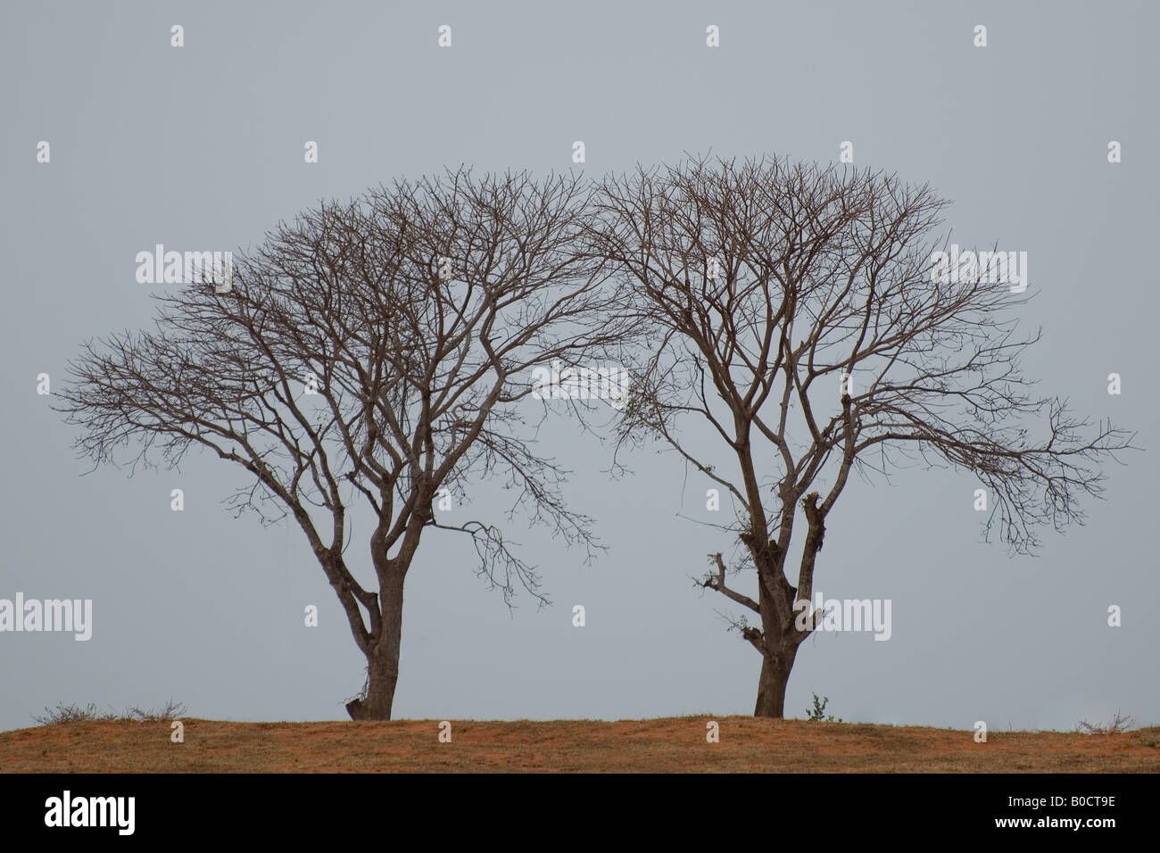 Normal nature hi-res stock photography and images - Alamy