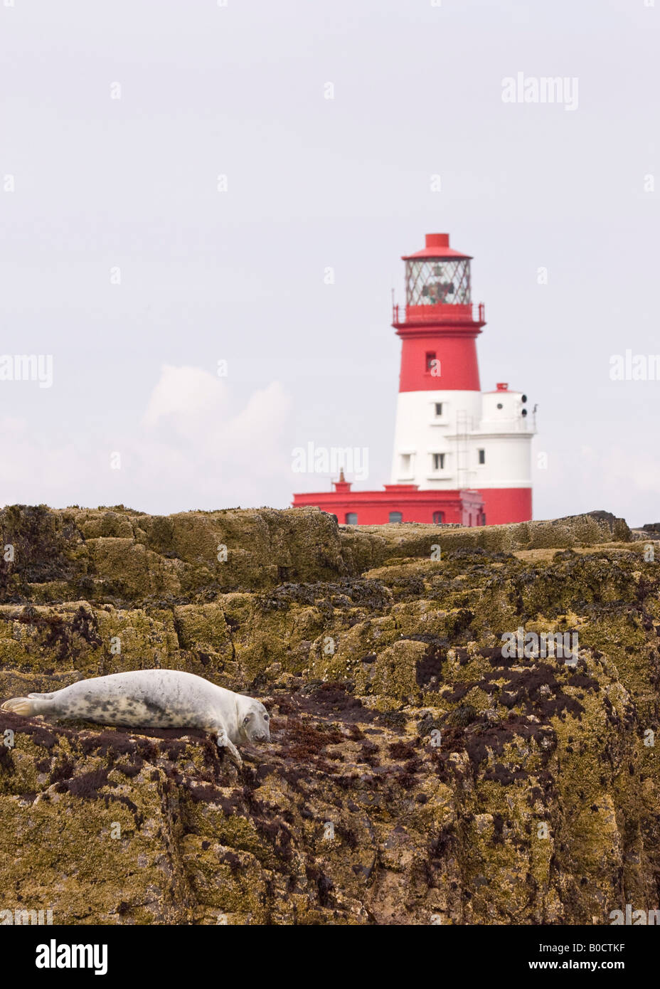 Longstone Lighthouse on Outer Farne, Farne Islands, Northumberland ...