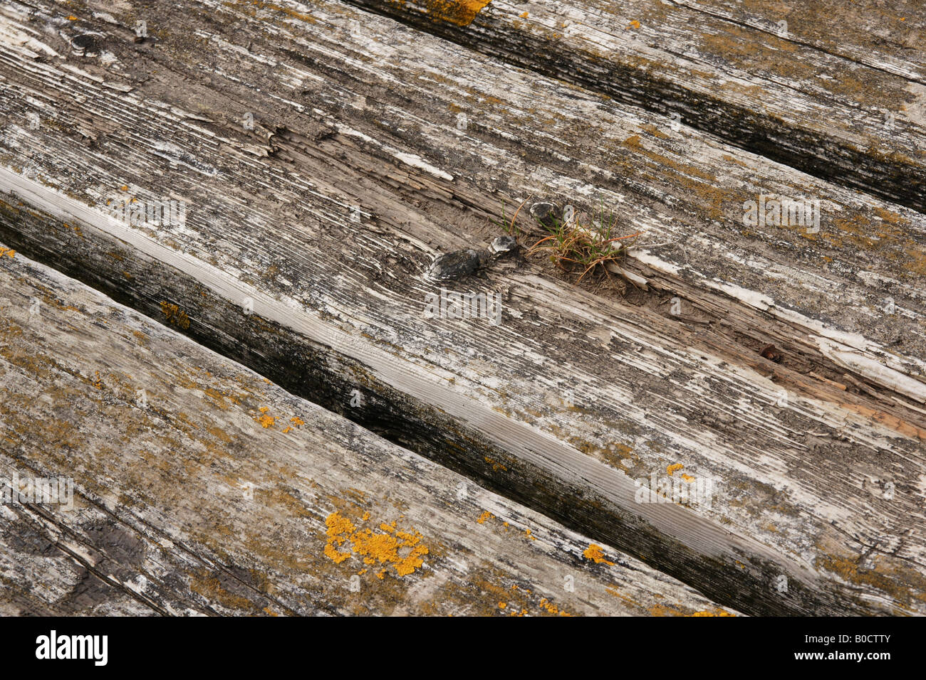Old wooden Plank Aust Wharf Stock Photo - Alamy