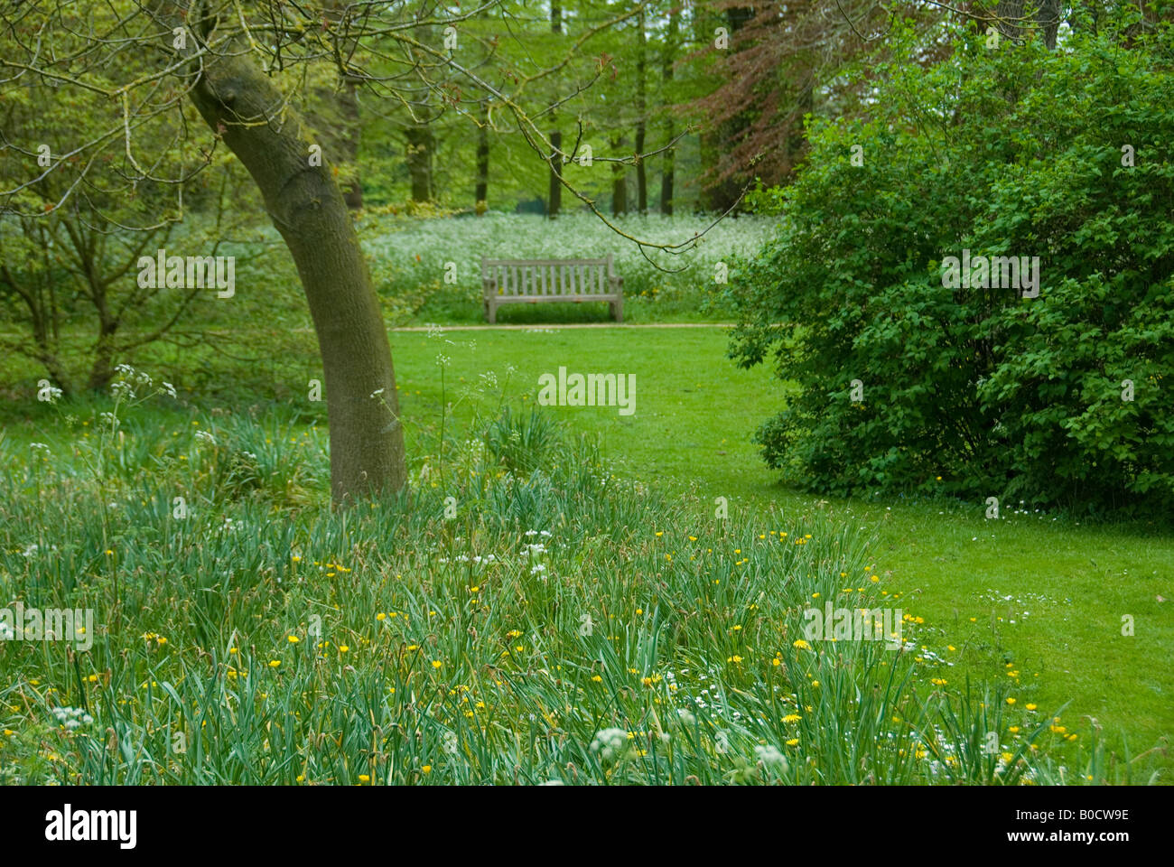 Country bench hi-res stock photography and images - Alamy