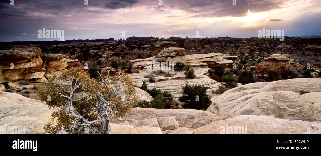 The maze canyonlands hi-res stock photography and images - Alamy