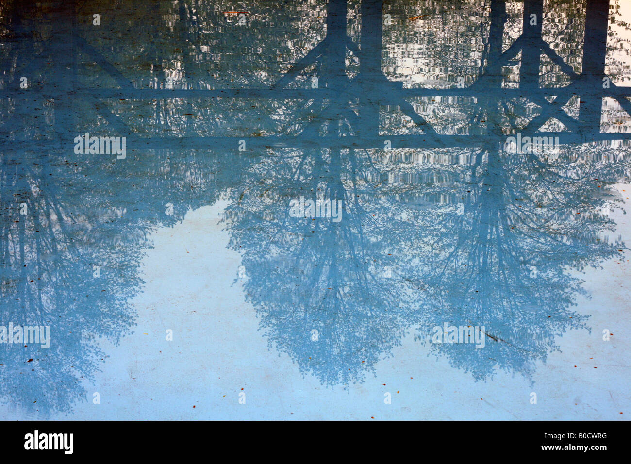 Reflection of trees in water Stock Photo - Alamy