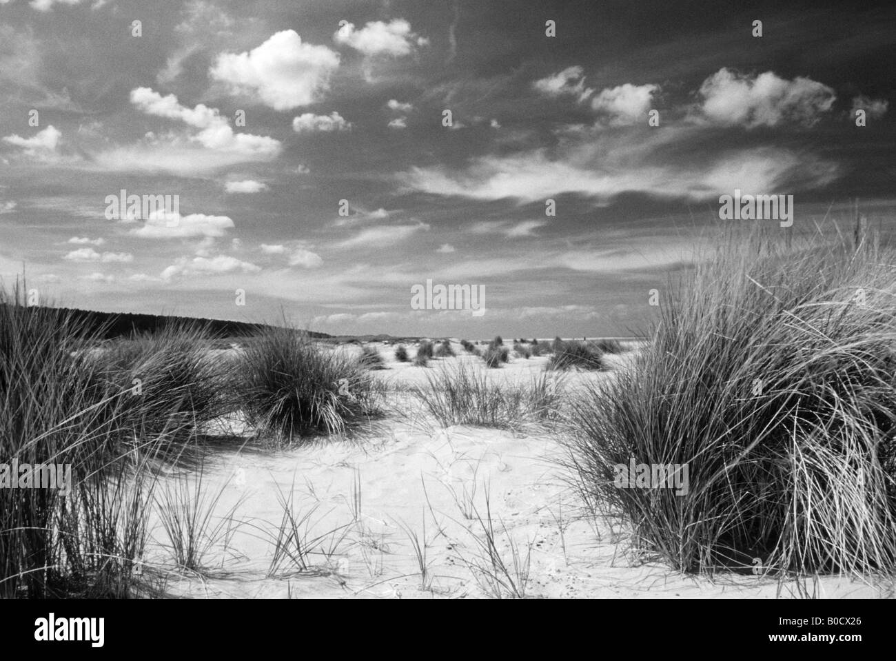 North coast beach Black and White Stock Photos & Images - Alamy