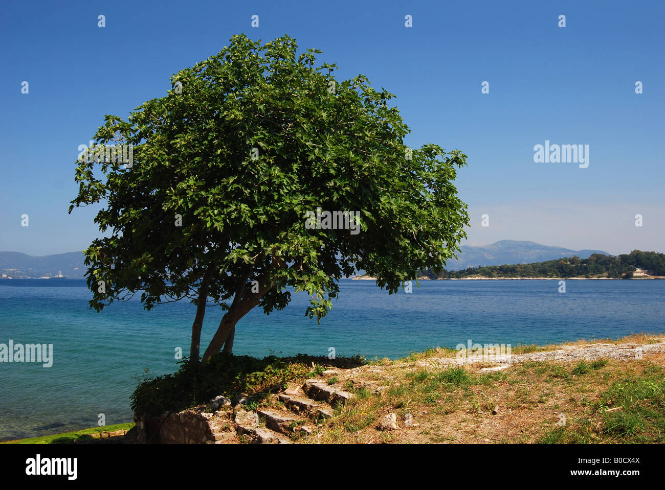 Seashore beach coast hi-res stock photography and images - Alamy