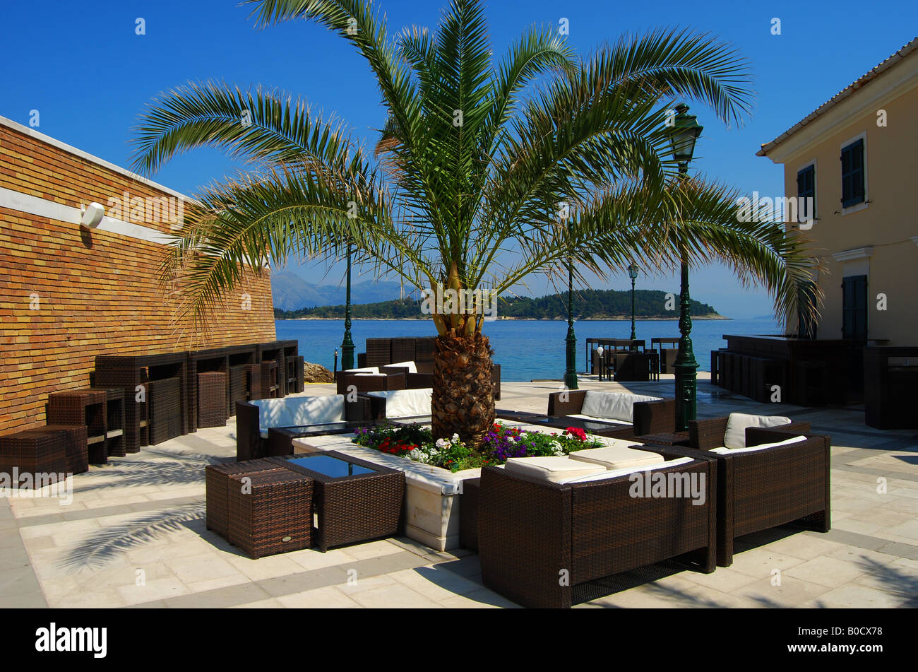 Cafe tree hi-res stock photography and images - Alamy