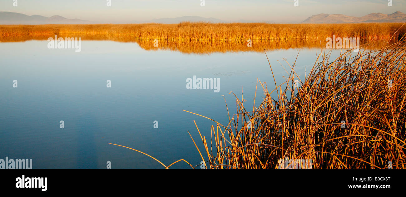 Lower Klamath Basin National Wildlife Refuge in autumn ( fall ...