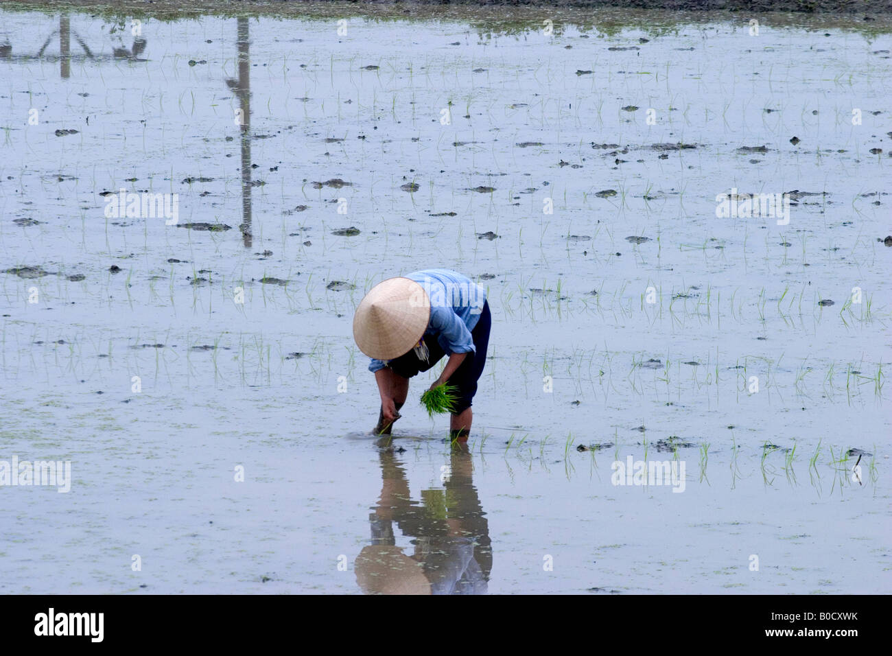 Farme fields hi-res stock photography and images - Alamy