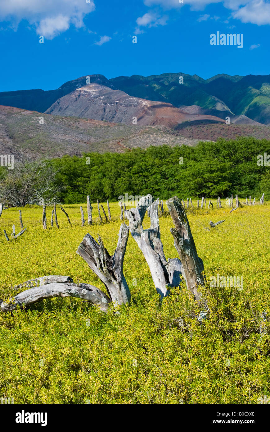 Molokai Ranch High Resolution Stock Photography and Images - Alamy