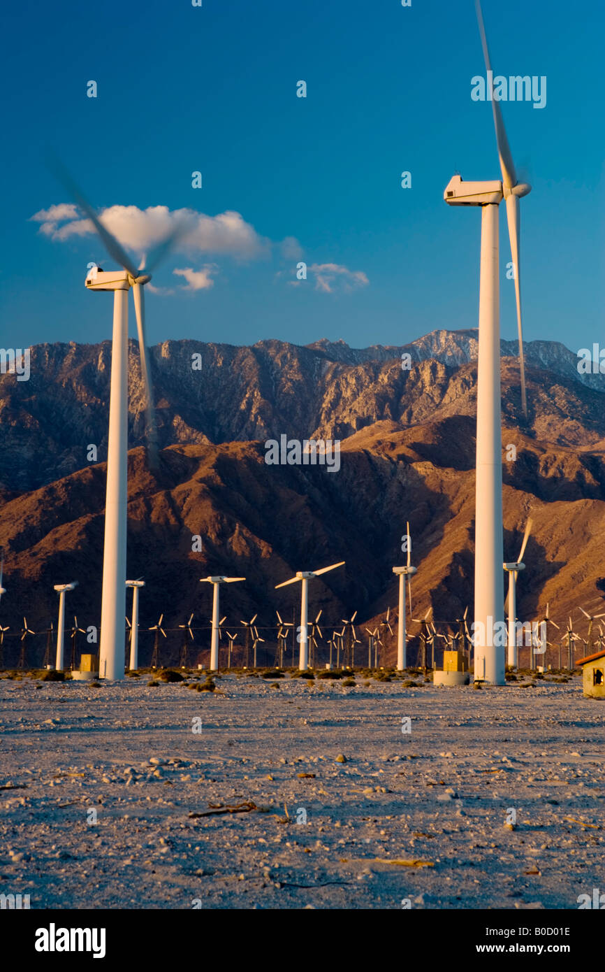 Palm Springs California alternative energy wind farm at sunrise on the ...
