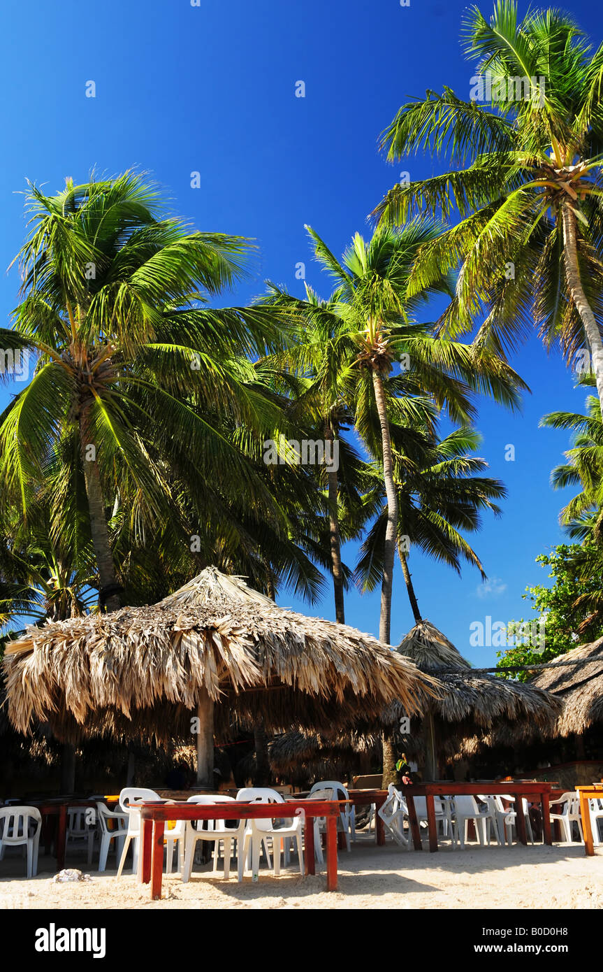 Outdoor restaurant on tropical beach with palm trees Stock Photo - Alamy