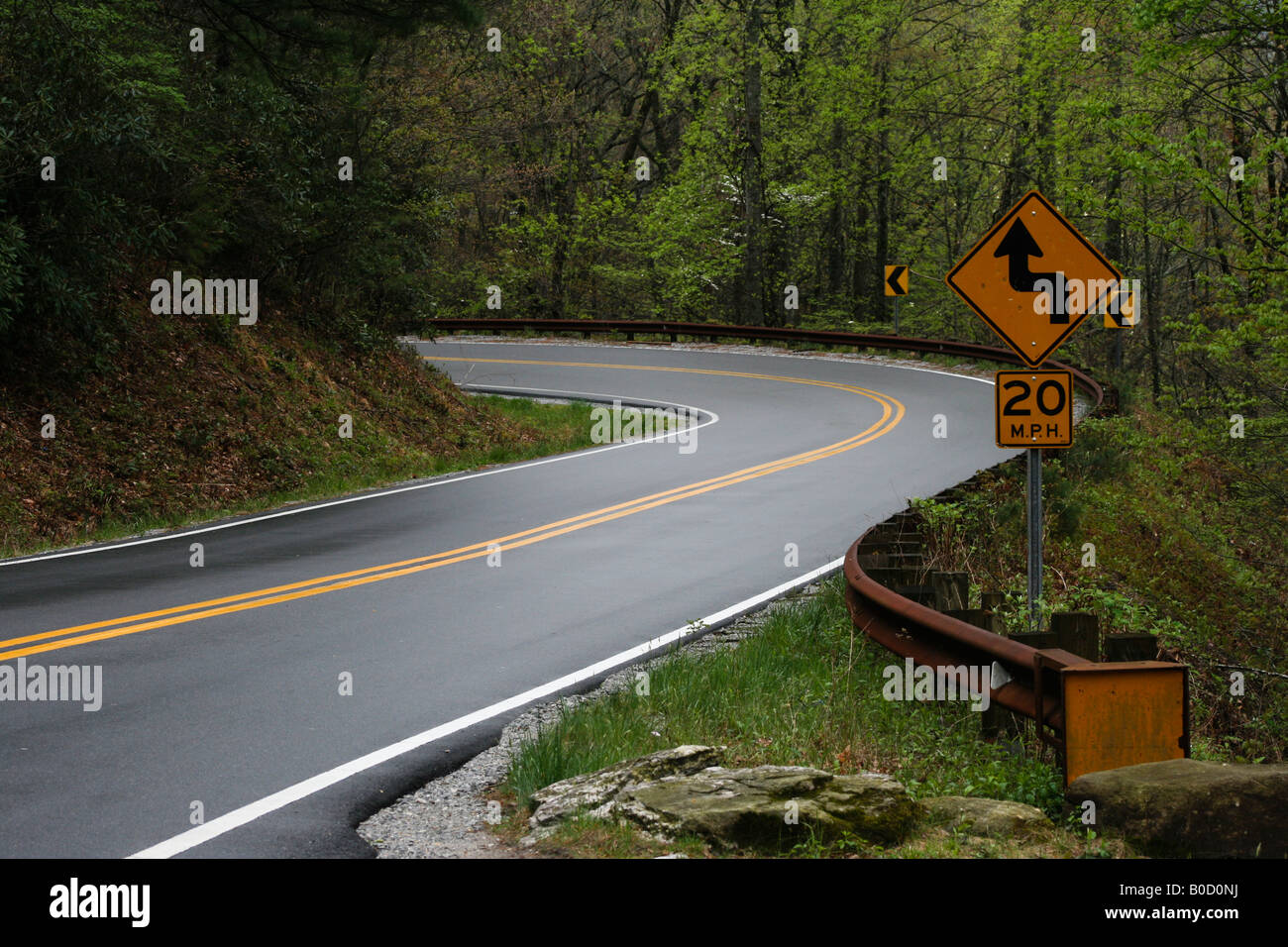 Smooth road curving through the woods with orange signs Stock Photo - Alamy