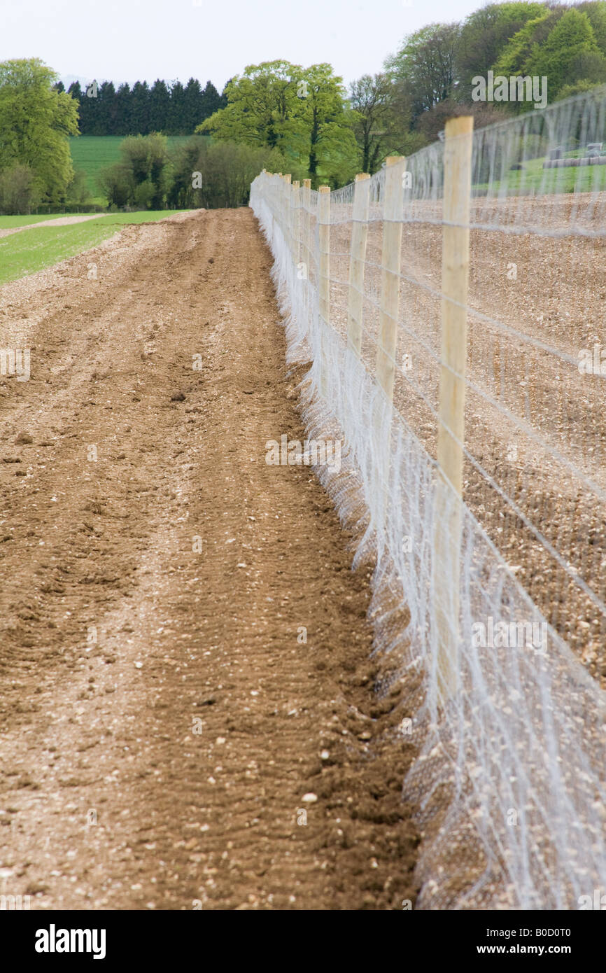 Rabbit proof fence hi-res stock photography and images - Alamy