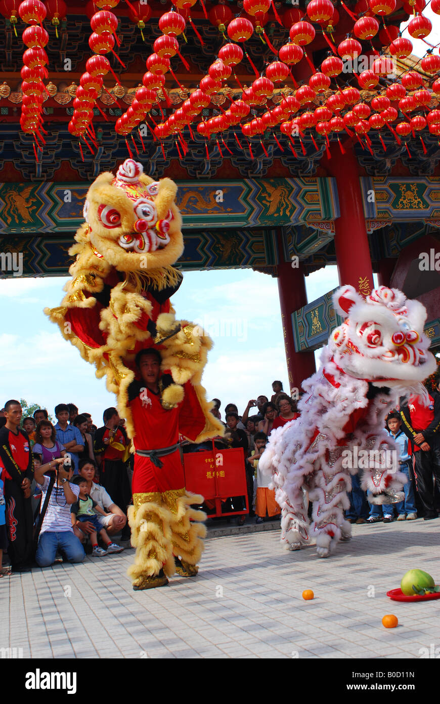 Two Lion dance performance during Chinese New Year festival Stock Photo ...