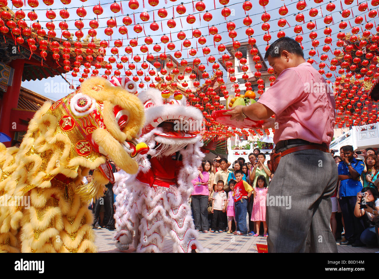 Lion dance performance during Chinese New Year festival Stock Photo - Alamy