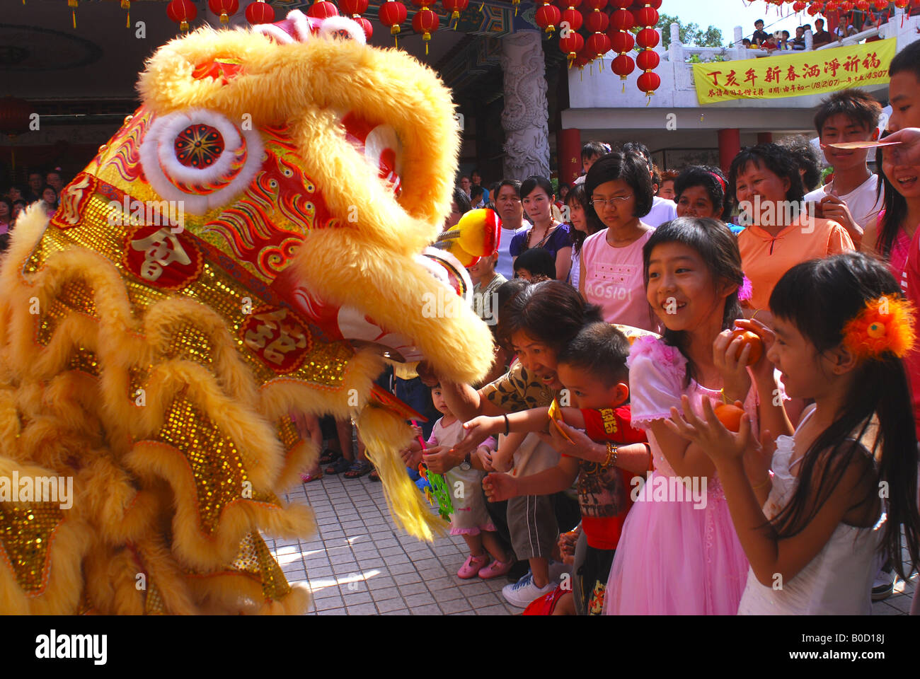 Lion dance performance during Chinese New Year festival Stock Photo - Alamy