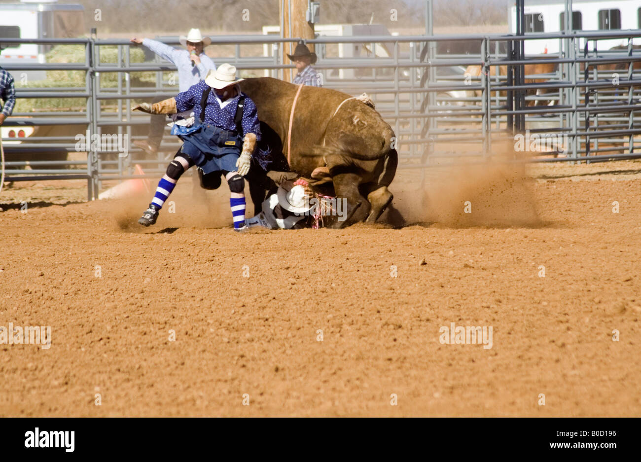 Kicking bull hi-res stock photography and images - Alamy