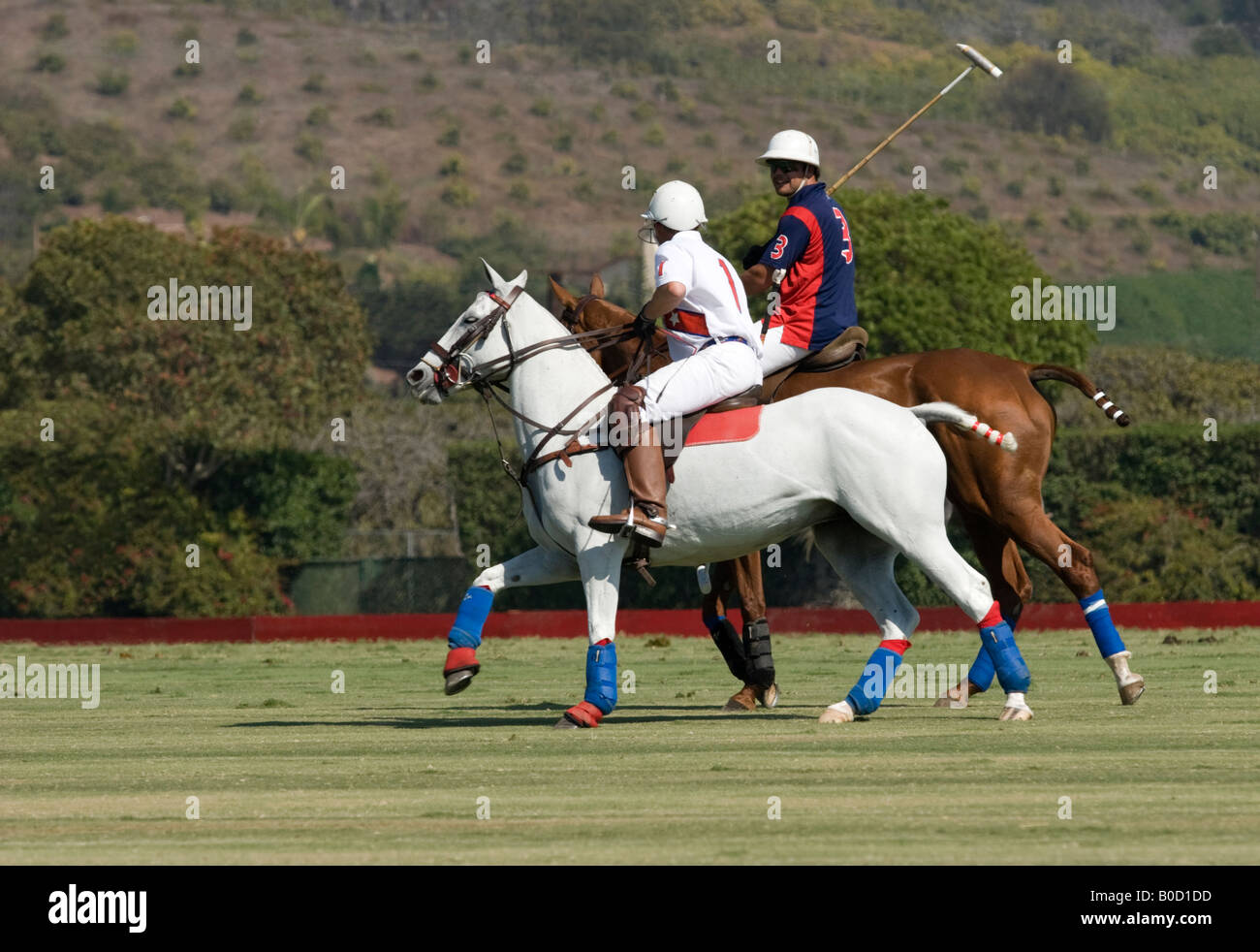 Horseback team hi-res stock photography and images - Alamy