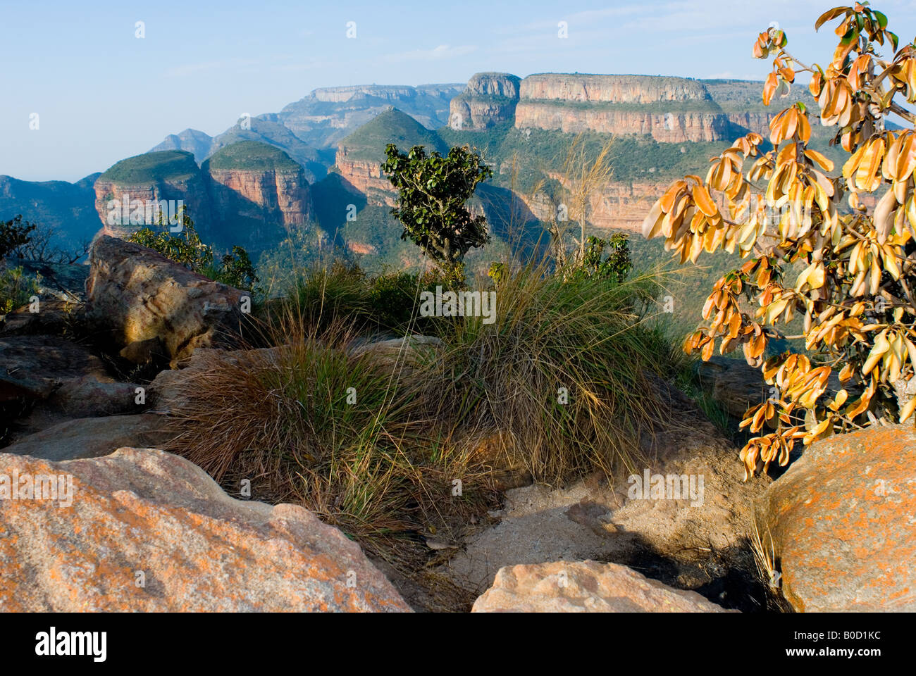 Low angle view of three rondawels in Umpumalanga Province, South Africa ...