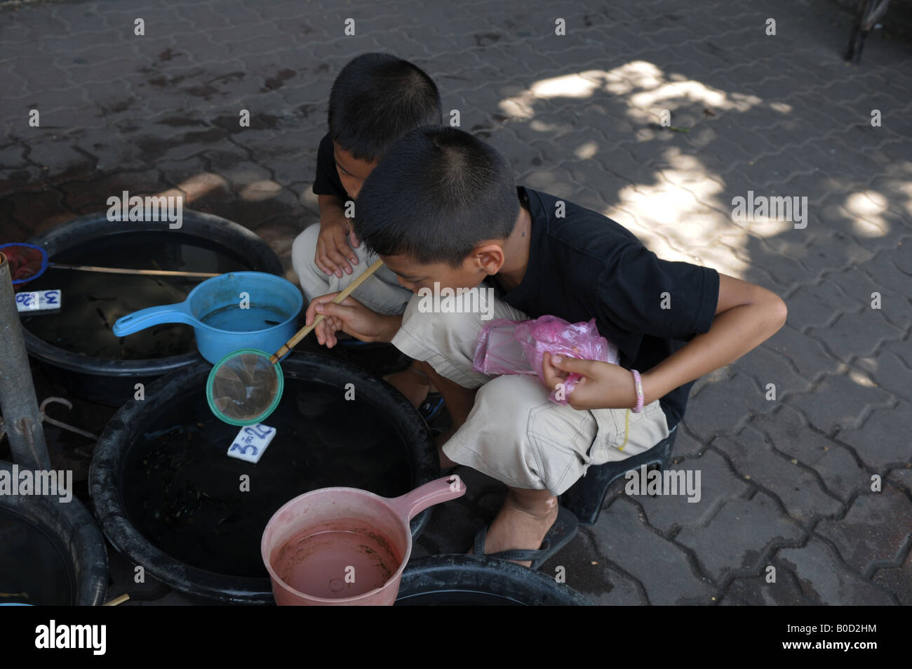 children choosing fish at jj market(chatachuk) bangkok Stock Photo - Alamy