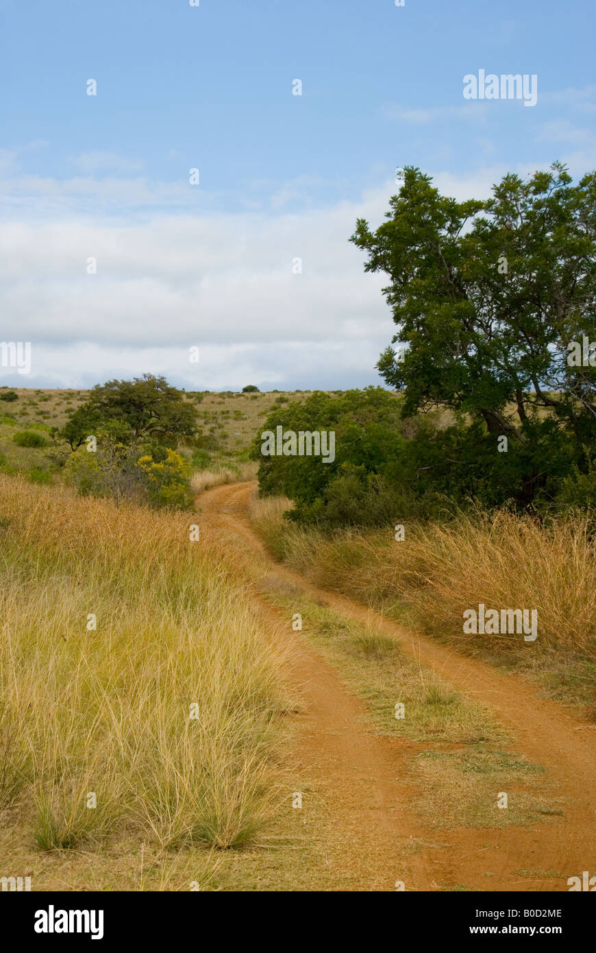 Pathway in beautiful African landscape Stock Photo - Alamy