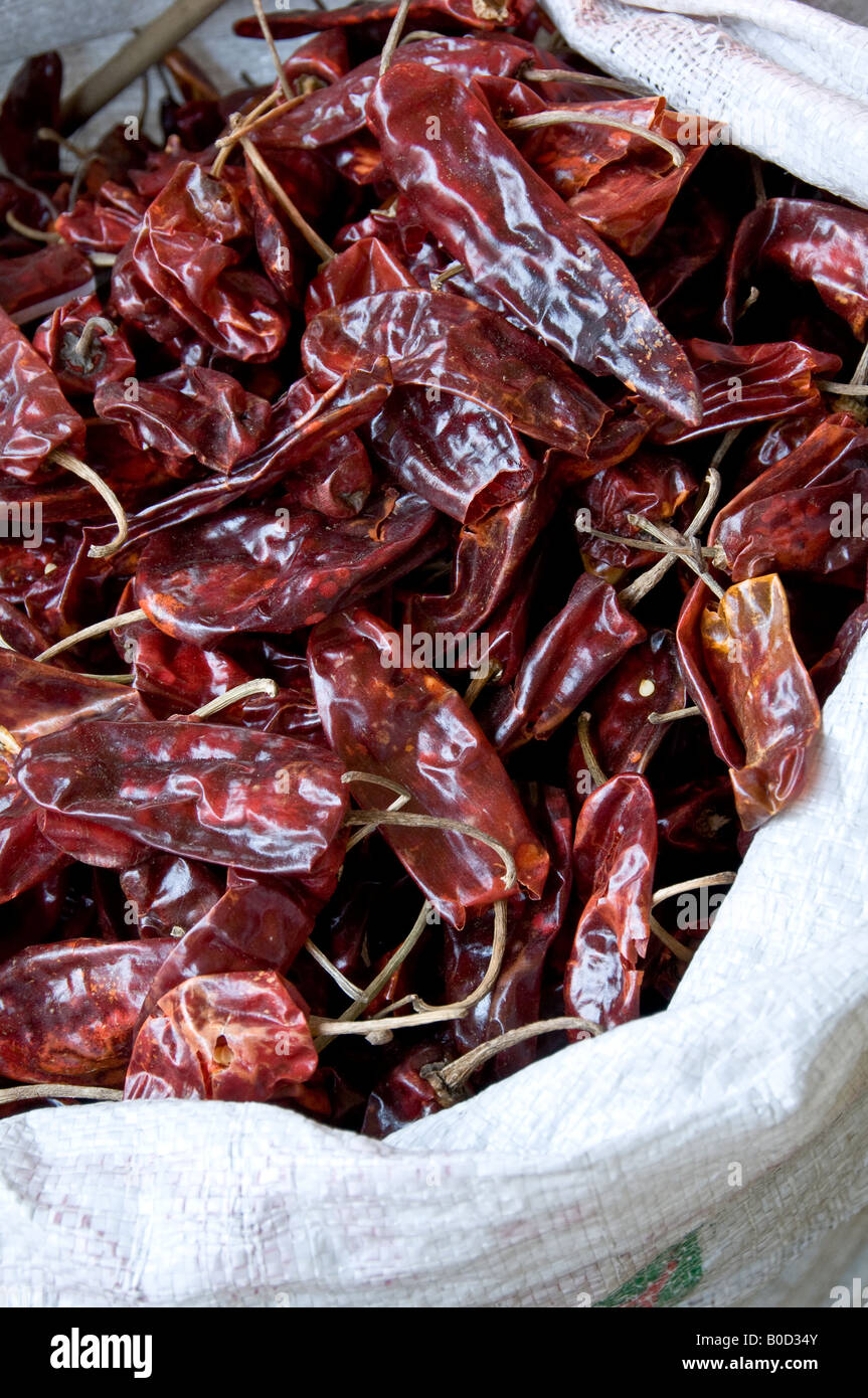 Mexican chiapas chillies hi-res stock photography and images - Alamy