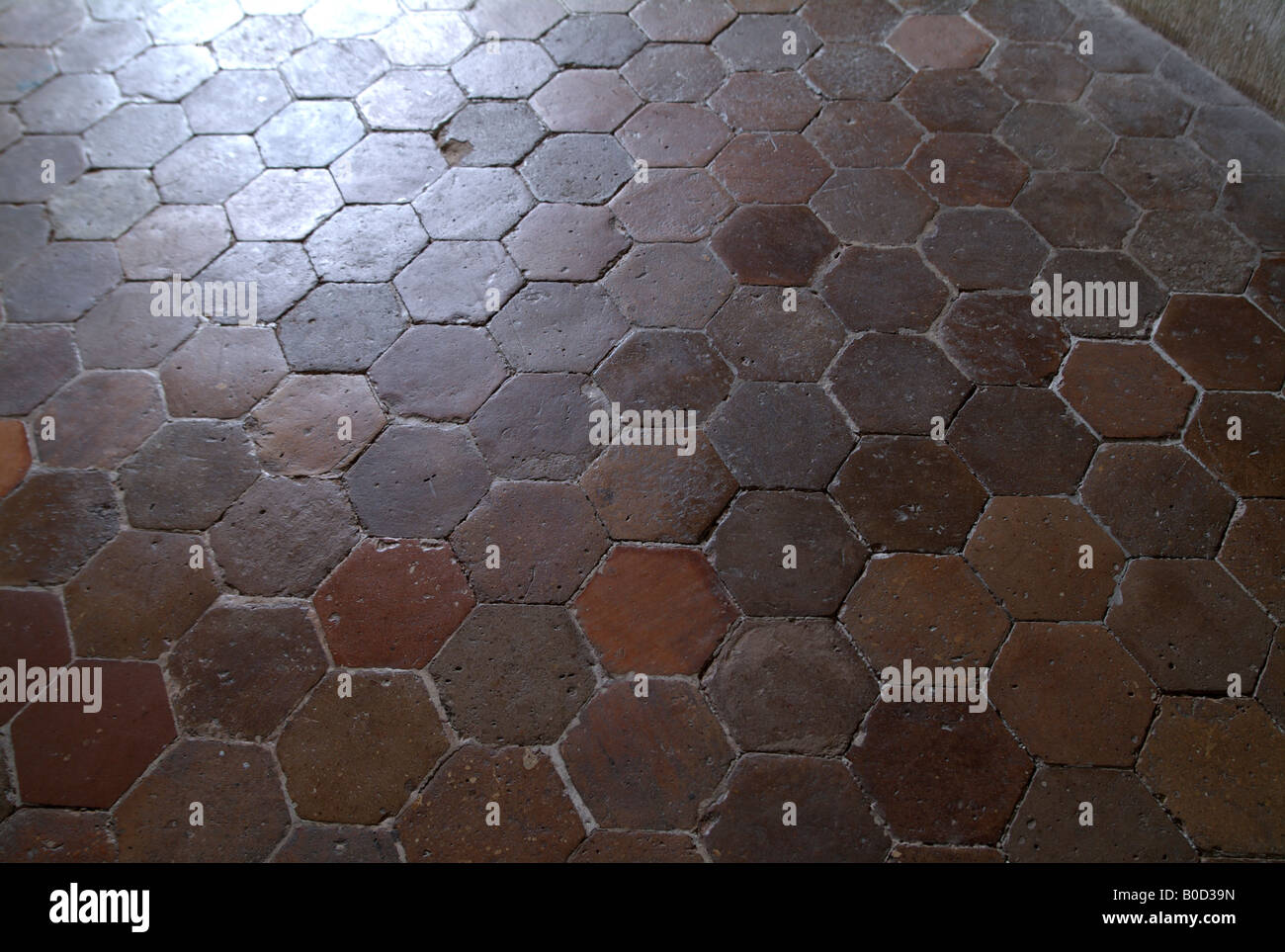 Detail of ceramic pavement. Château de Fontainebleau (Fontainebleau ...