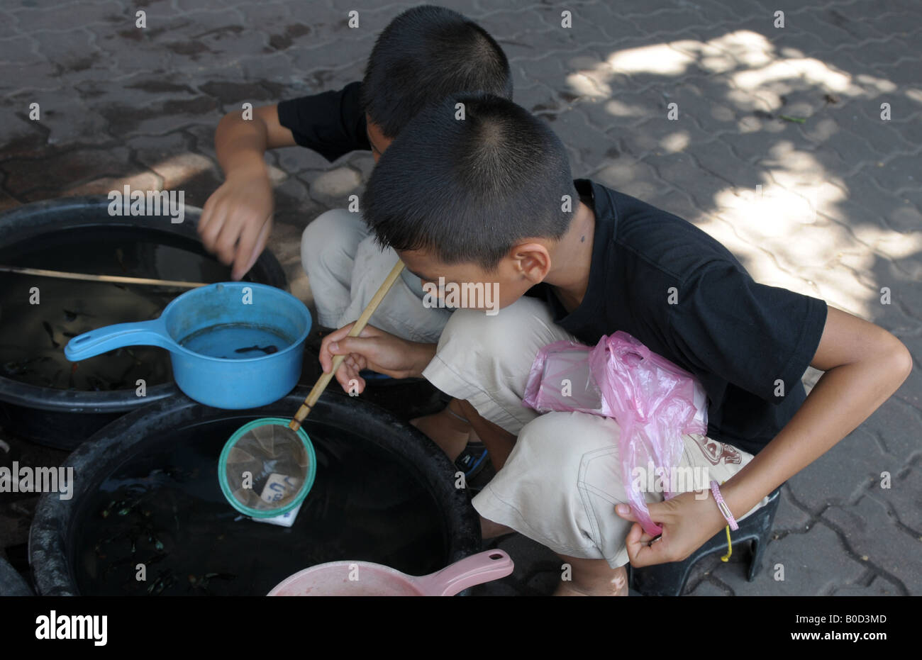 Choosing fish aquarium hi-res stock photography and images - Alamy