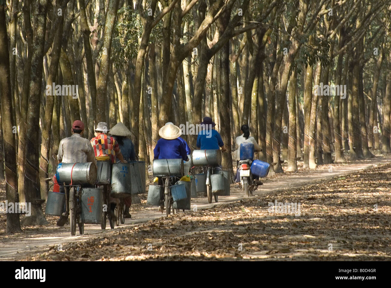 Rubber Workers from work Stock Photo - Alamy